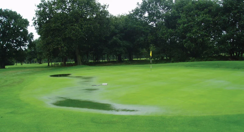 Problem Solving — TERRALIFT AUSTRALIA