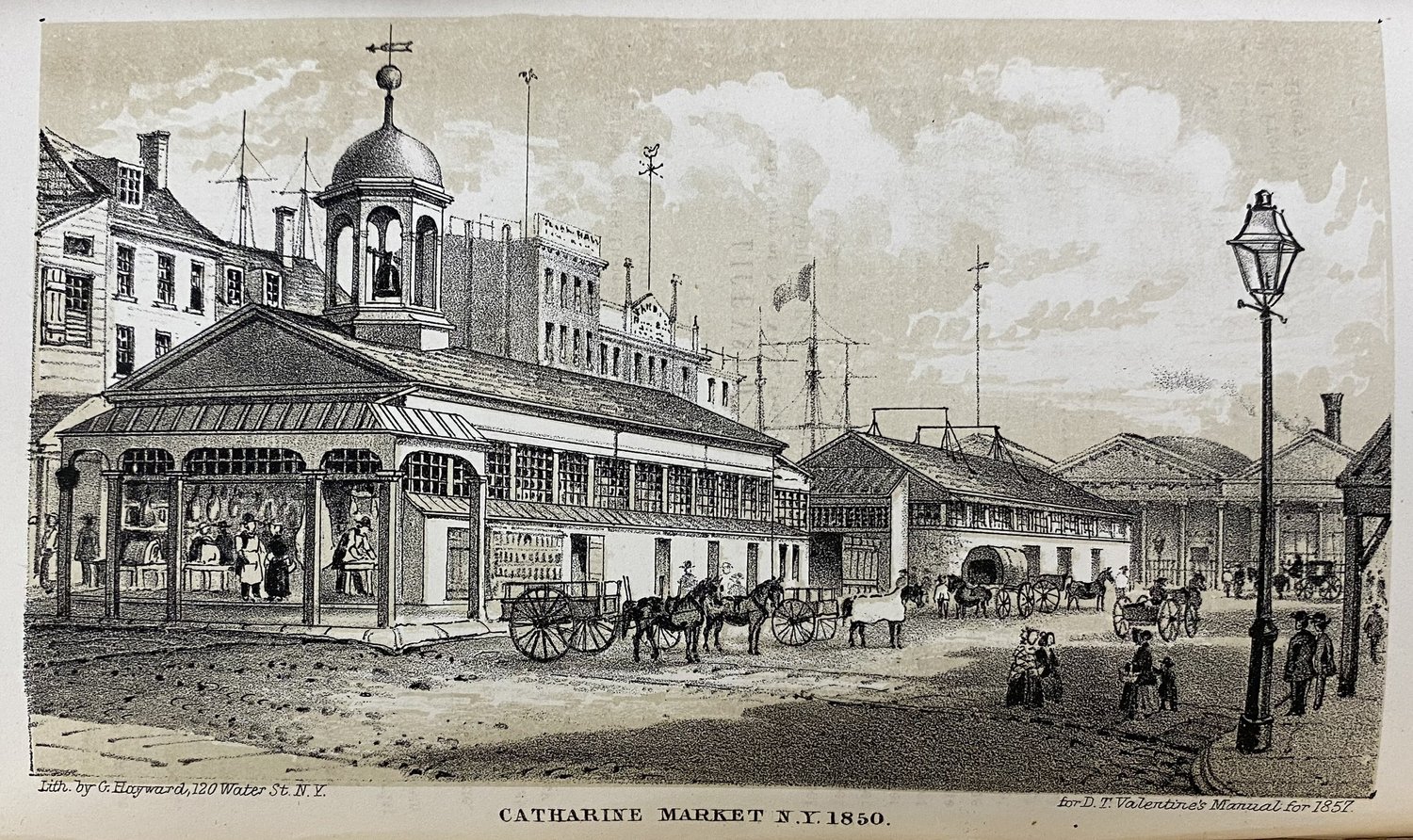 From Marketfield to the Greenmarket, Part II: The Market Man — NYC ...