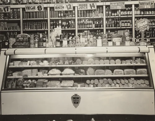 WPA Photography — NYC Department of Records & Information Services