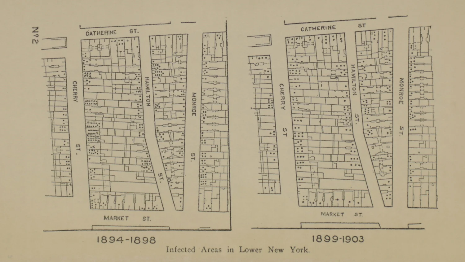 The Lung Block: A New York City Slum & Its Forgotten Italian Immigrant ...