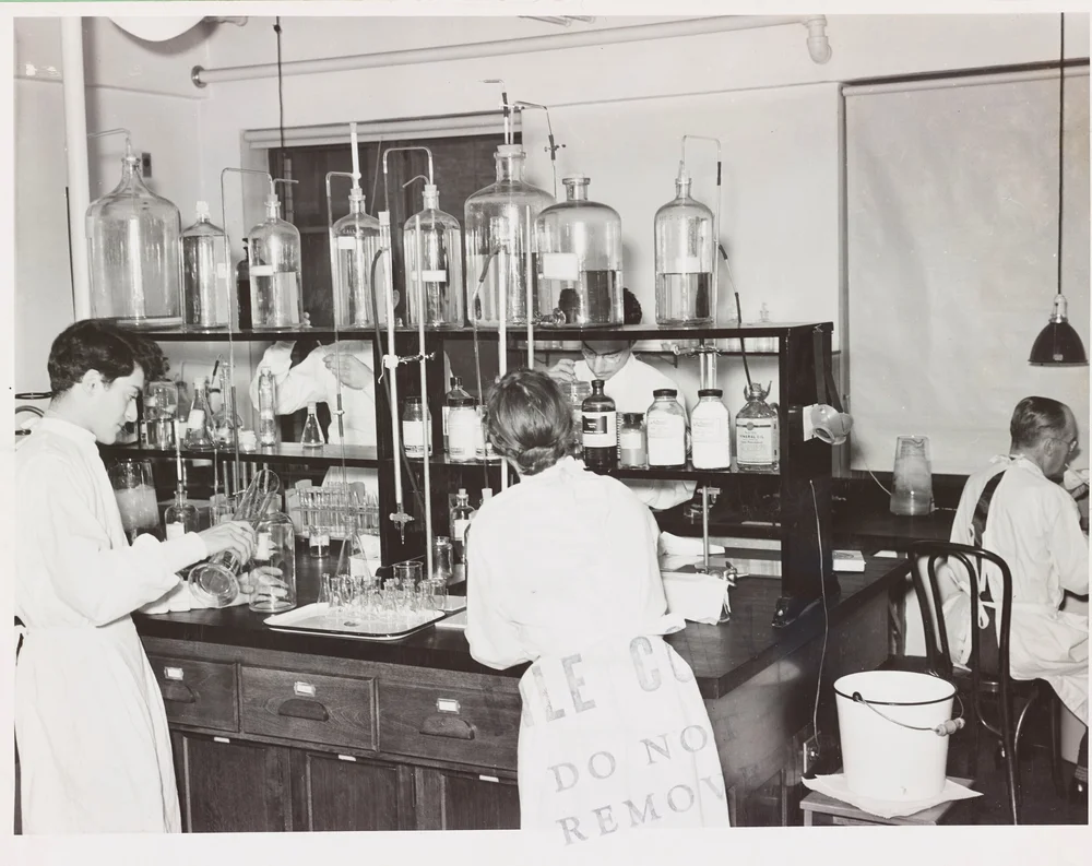 From Health Officer of the Port to Disease Detectives: Public Health ...