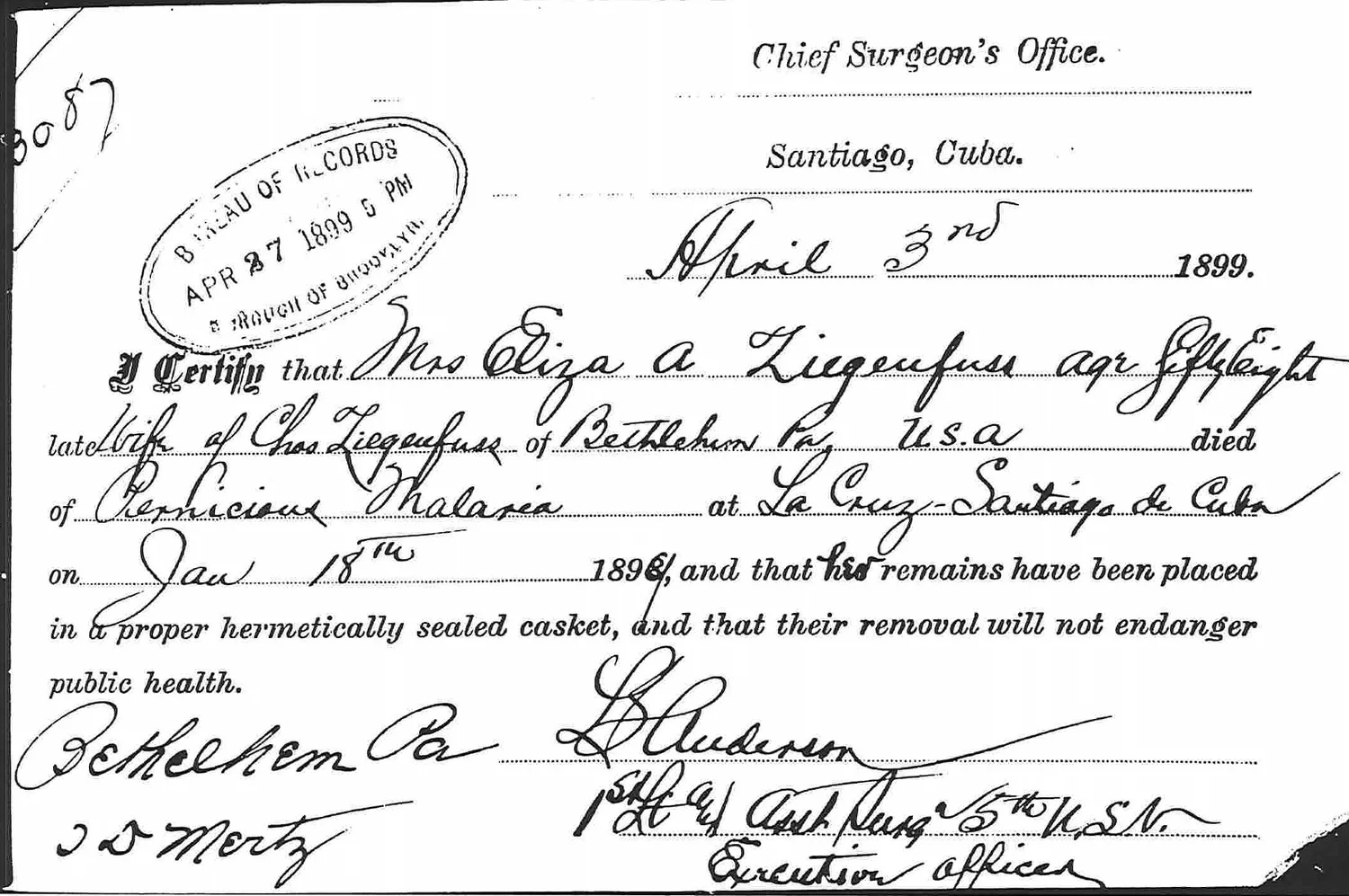 The Last Muster — NYC Department of Records & Information Services