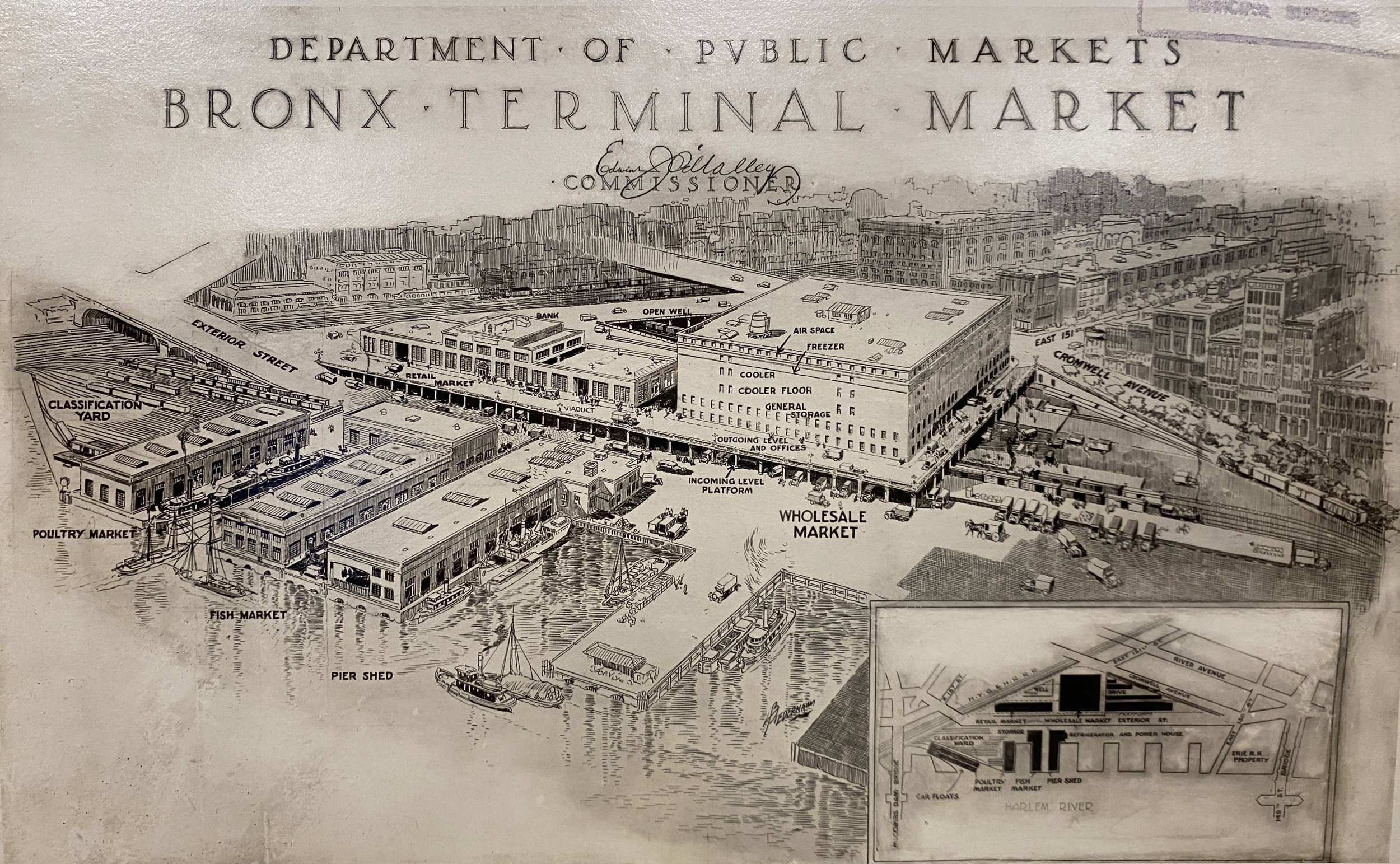 Delicious Apples: Department of Public Markets Photographs — NYC ...