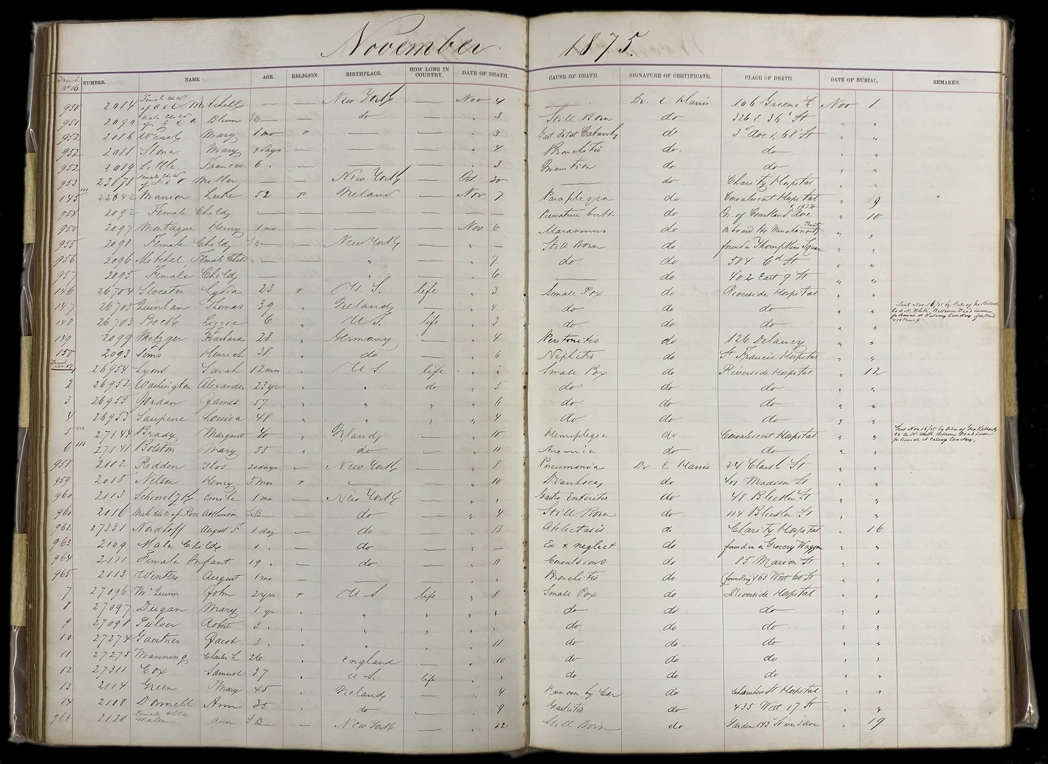 The City Cemetery on Hart Island — NYC Department of Records ...