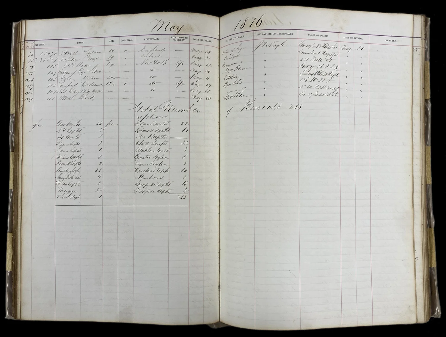 The City Cemetery on Hart Island — NYC Department of Records ...