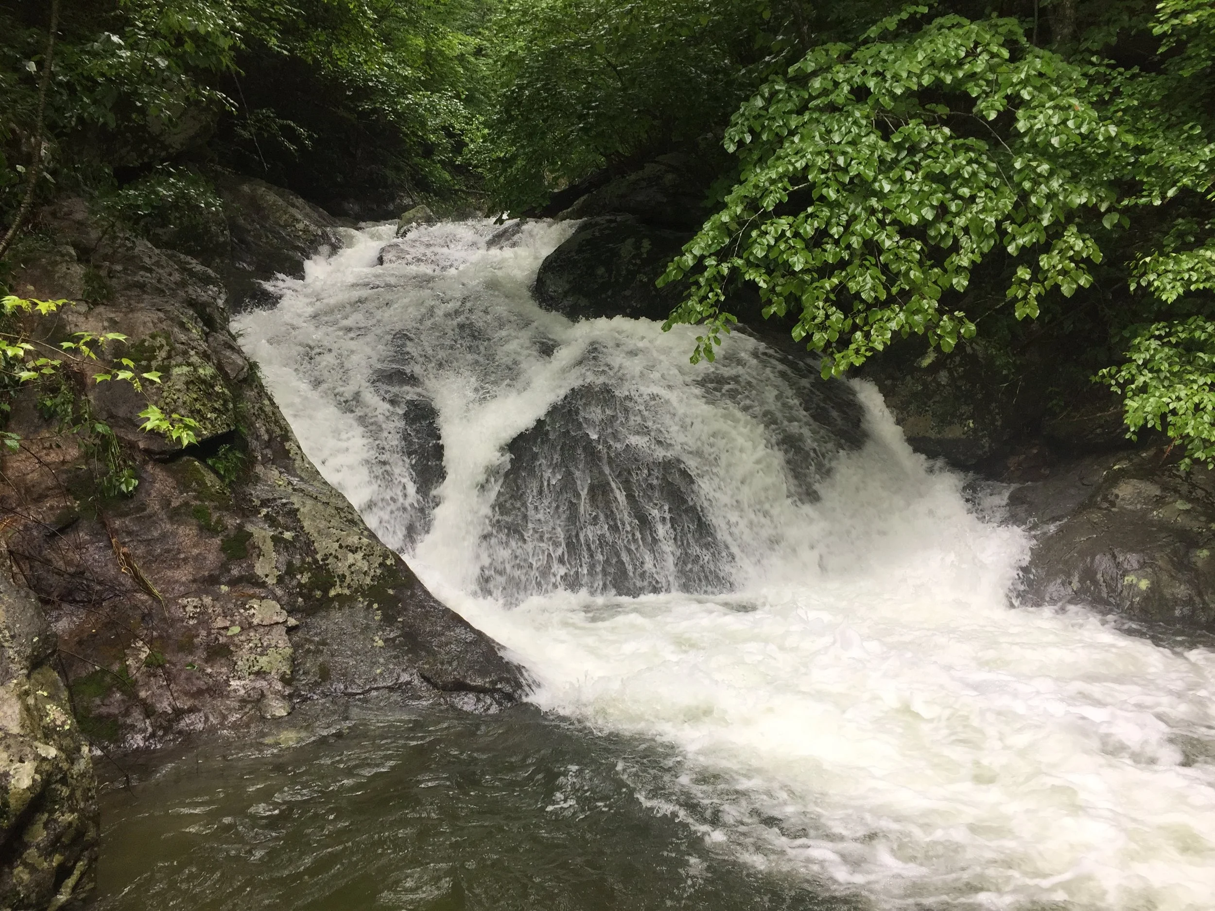 Blog — Parked Upstream