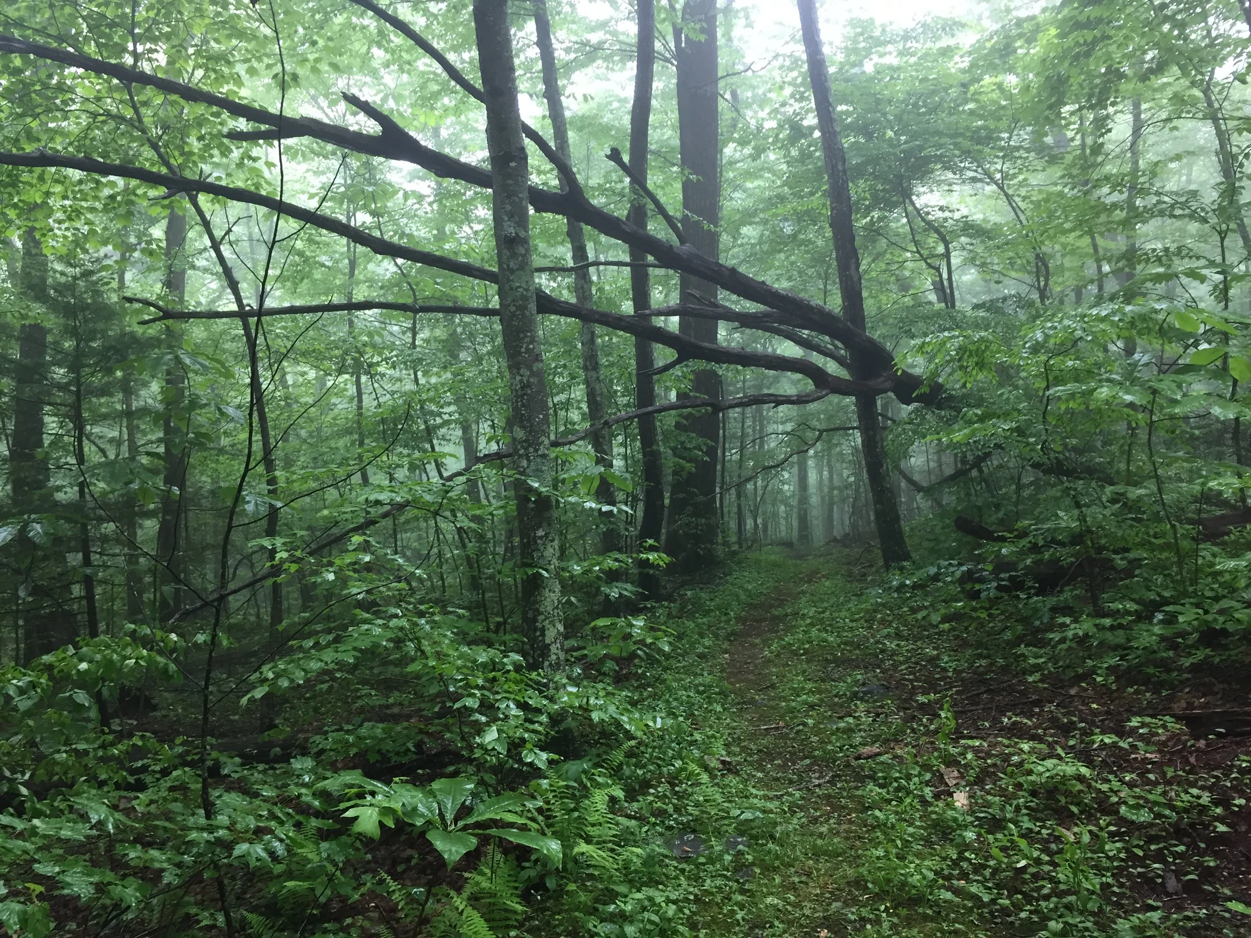 Blog — Parked Upstream