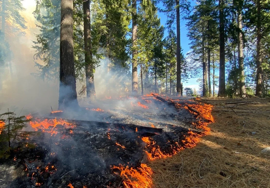 Forest Health and Wildfire Research Scoping Workshop — California Fire ...