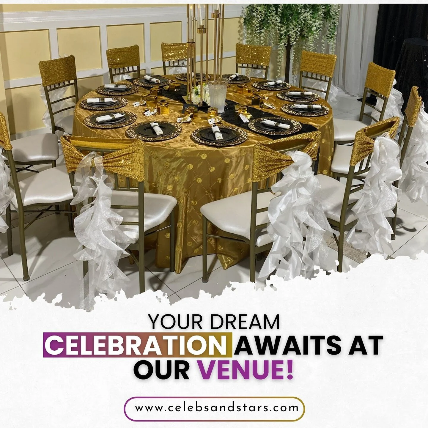 Speciality Events — Celebs and Stars