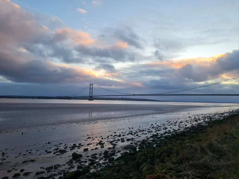 Wintering Bird Survey – when will you need one? | Ecology by Design