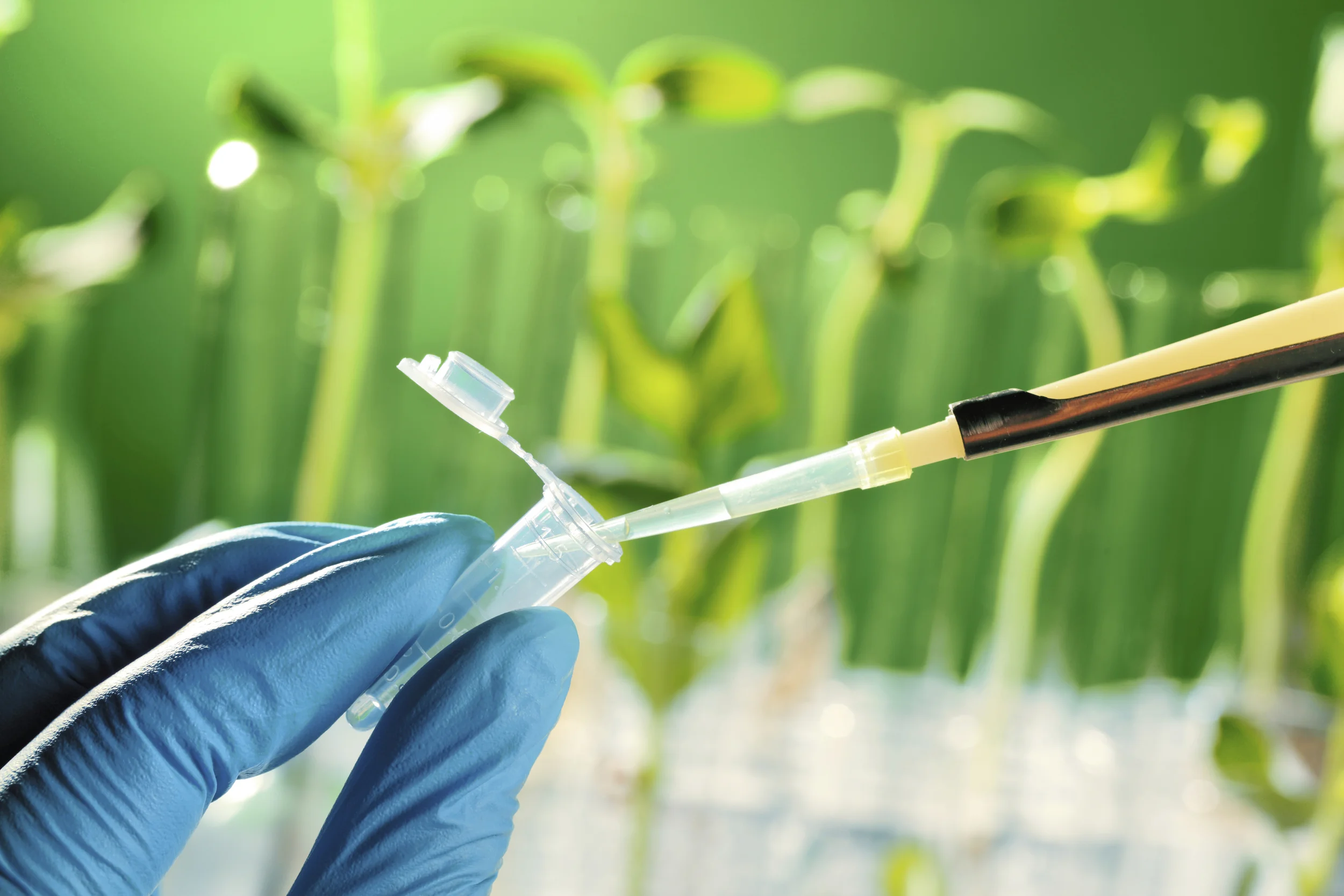 Environmental DNA (eDNA) revolutionising ecology | Ecology by Design