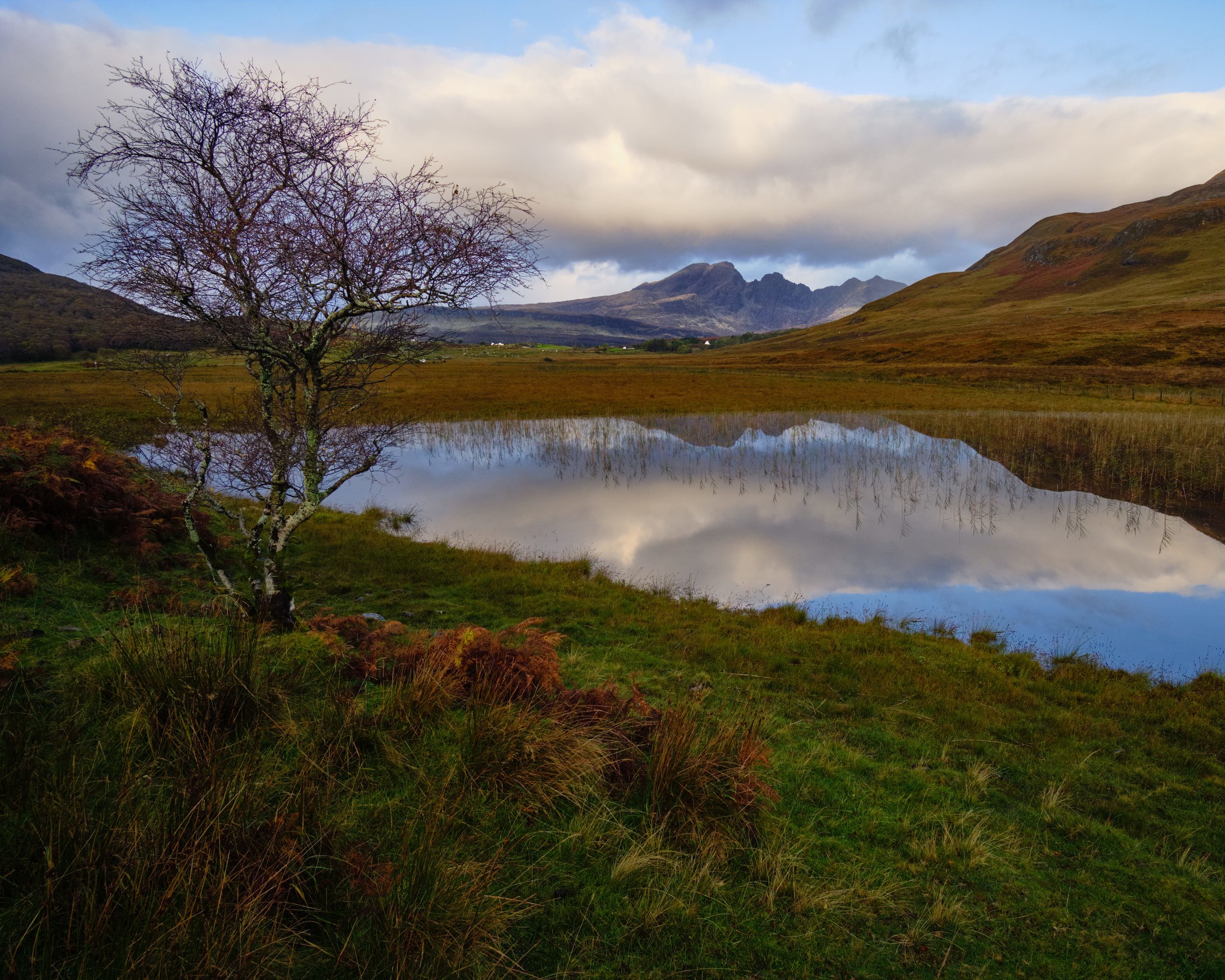 What is an Ecological Survey? | Ecology by Design
