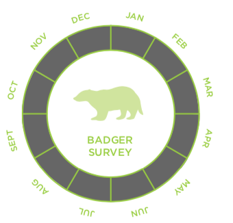 Costs of an Ecological Impact Assessment | Ecology by Design