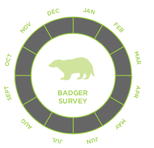 Costs of an Ecological Impact Assessment | Ecology by Design