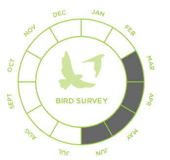 Costs of an Ecological Impact Assessment | Ecology by Design