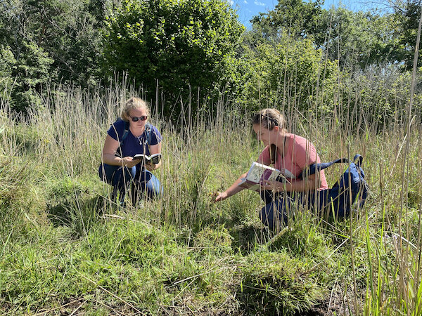 What is it Like to Become an Ecologist? Q & A with Beth England ...
