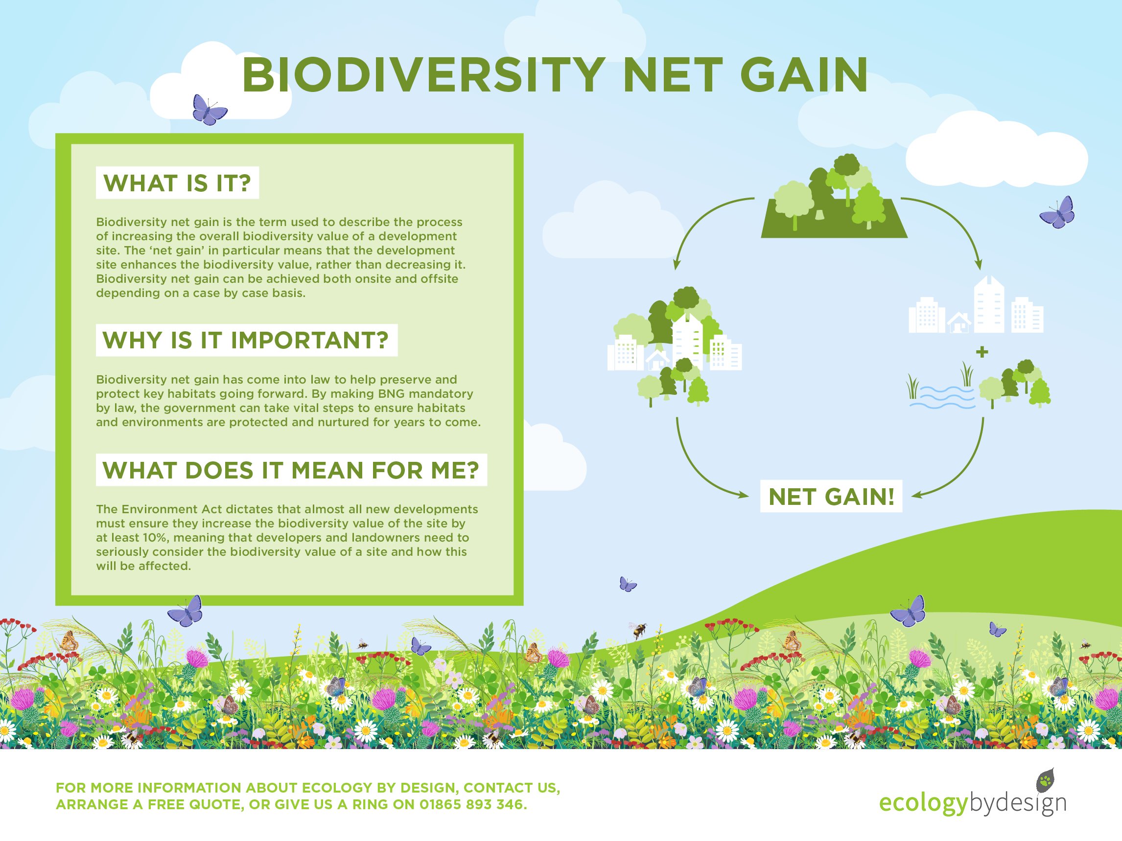 Everything you need to know about biodiversity net gain | Ecology by Design