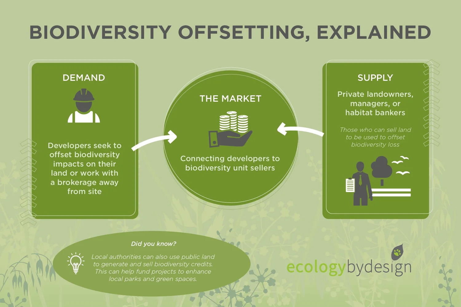 A Beginner’s Guide to Biodiversity Offsetting | Ecology by Design