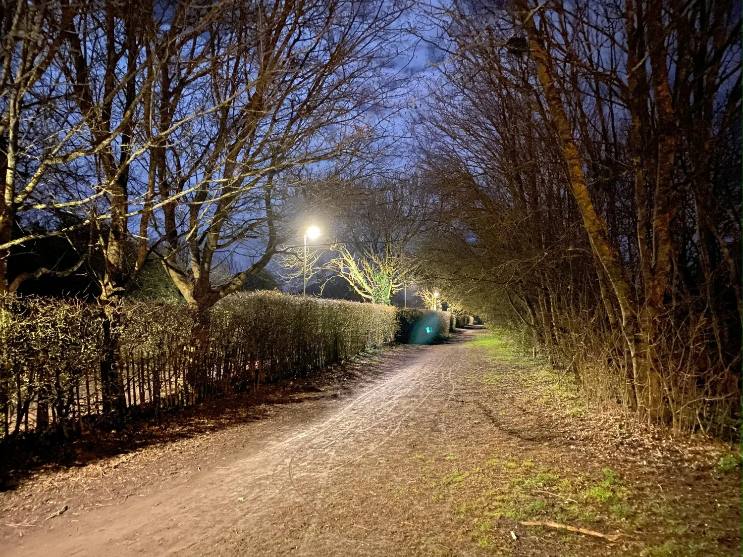 How the latest bat survey guidelines benefit both developers and ...