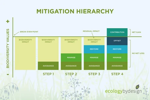 Biodiversity mitigation hierarchy explained | Ecology by Design