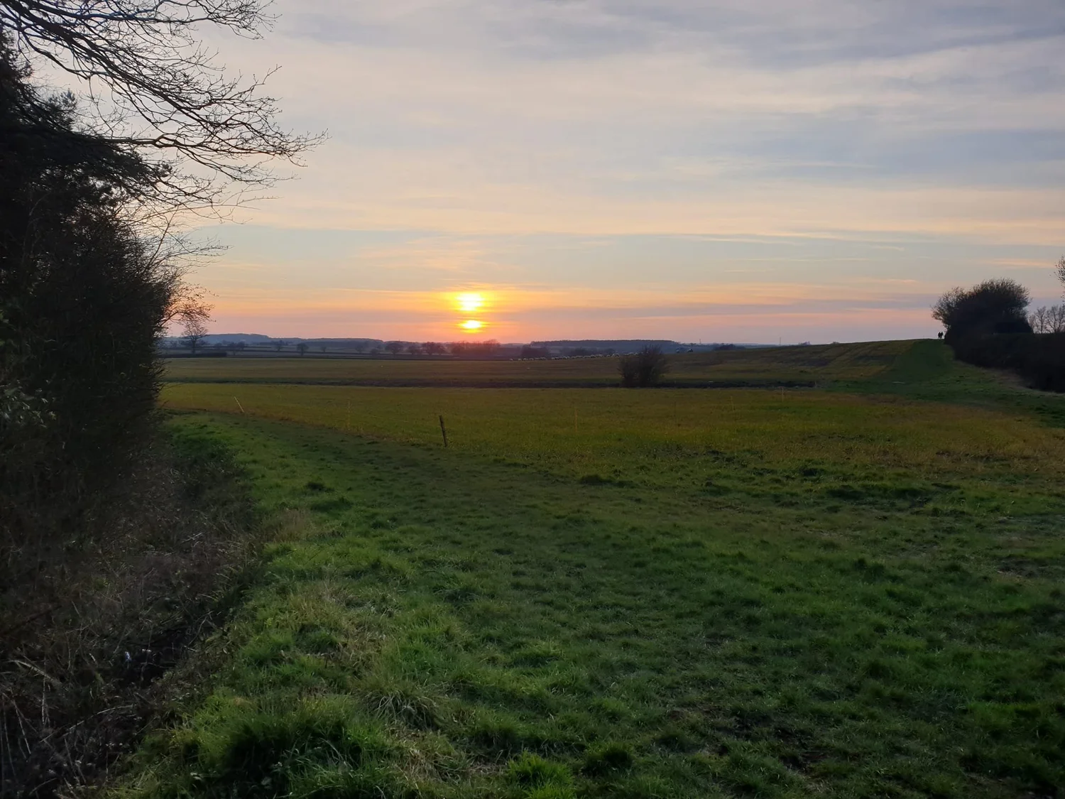 How the latest bat survey guidelines benefit both developers and ...