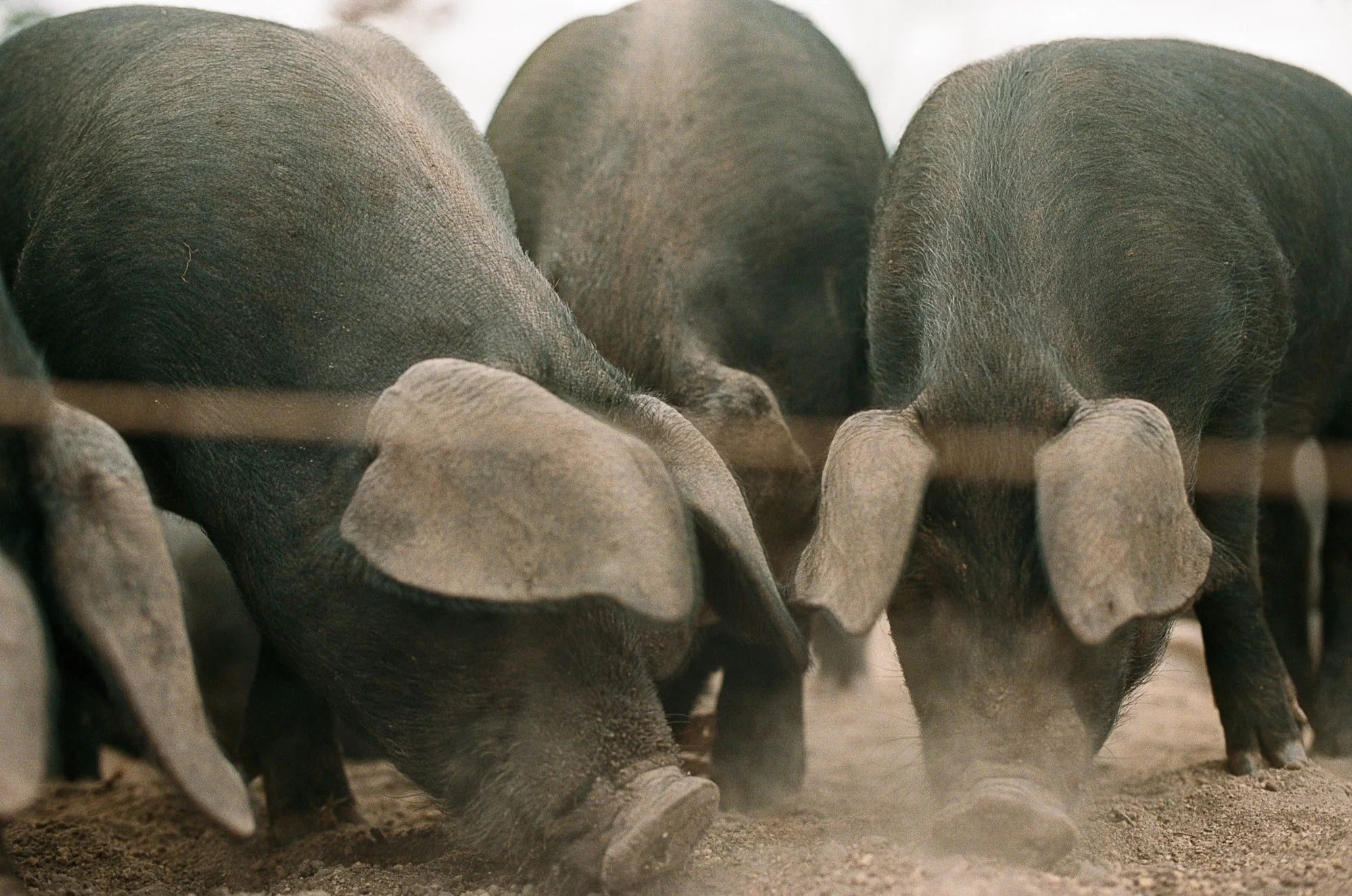 Outside — Good Paper Print Shop