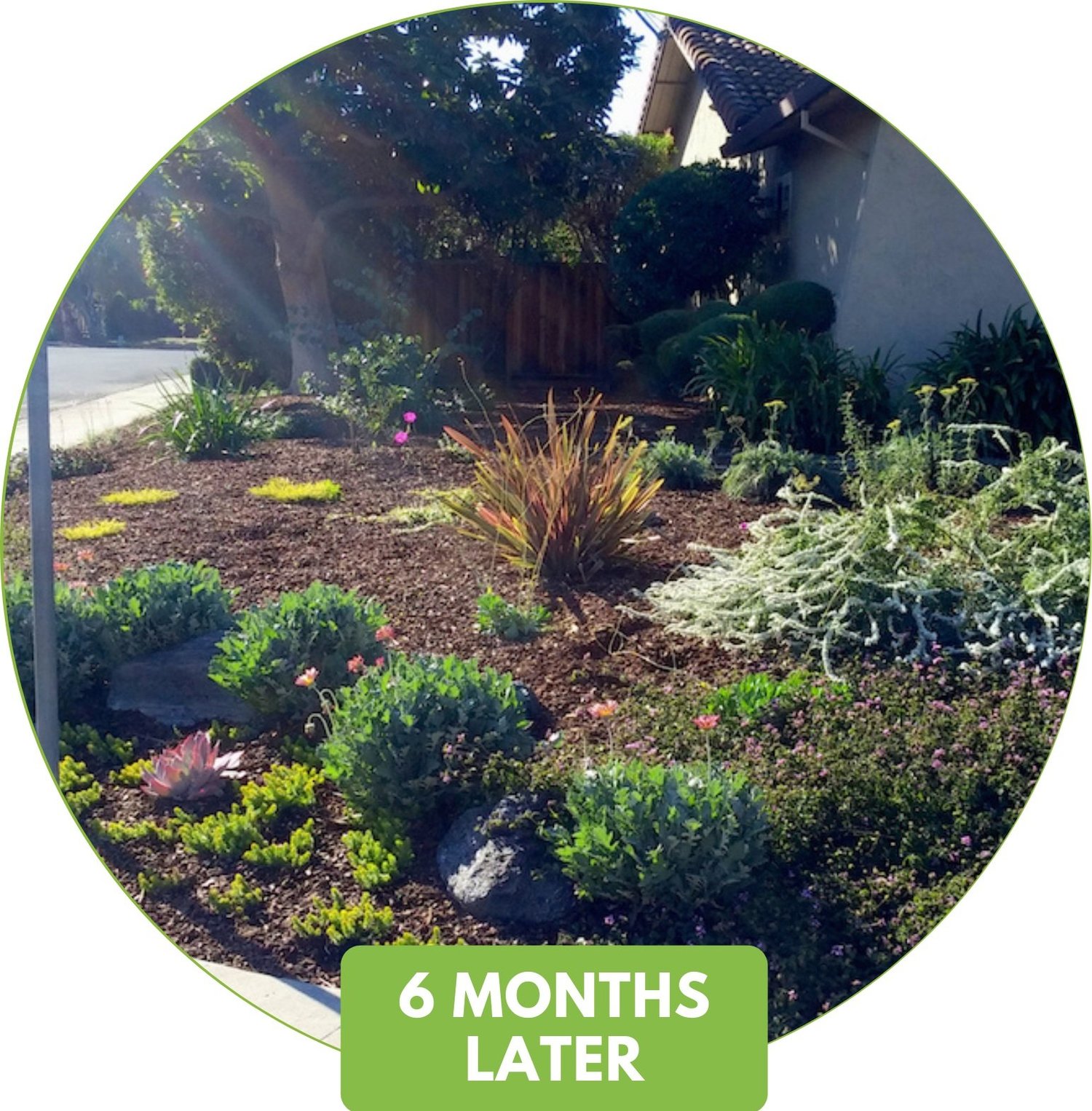 Lawn Busters DIY Workshop — Our City Forest