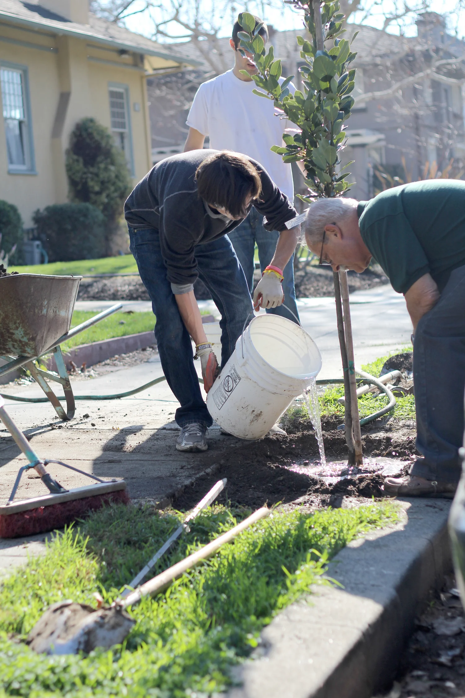 Tree Care: Watering your new tree — Our City Forest