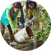 Tree Care— Our City Forest