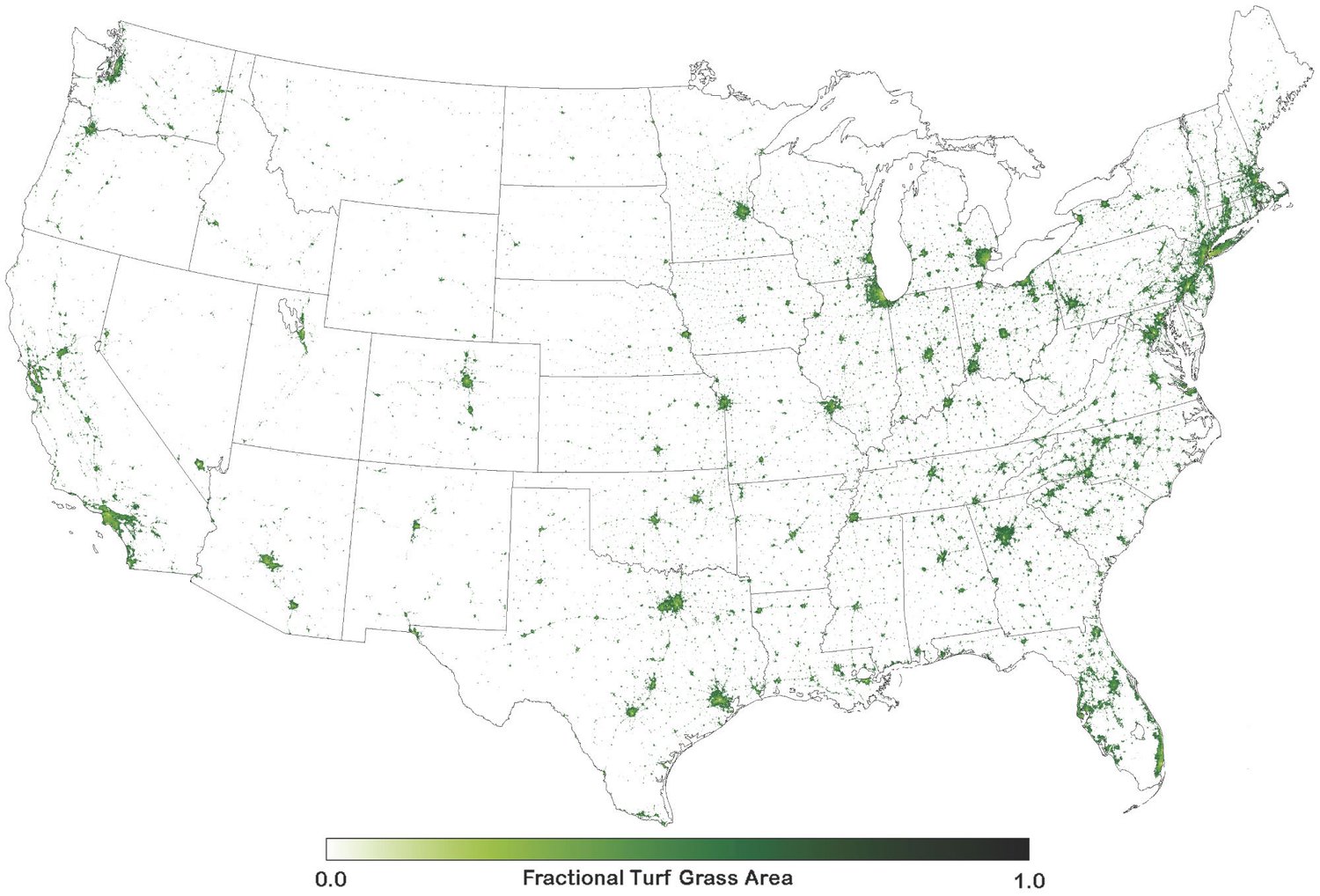 How the Lawn Grew Across America and Why That Needs to Change — Our ...