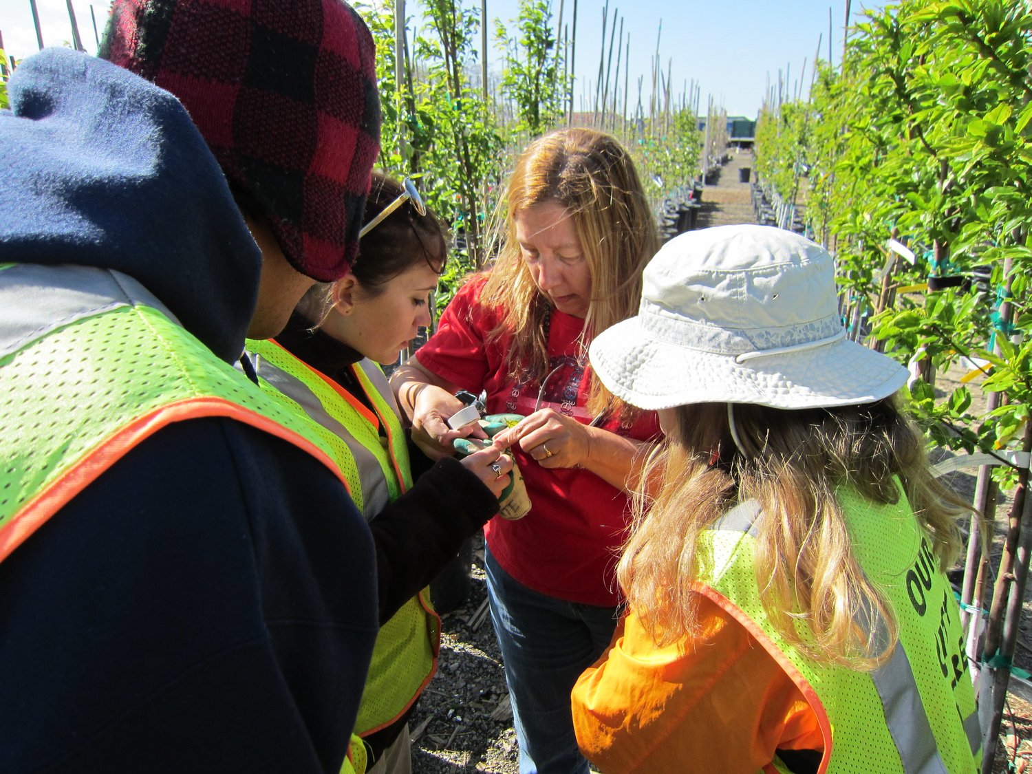 Why do you call it a Community Nursery? — Our City Forest