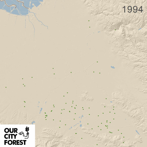 About— Our City Forest