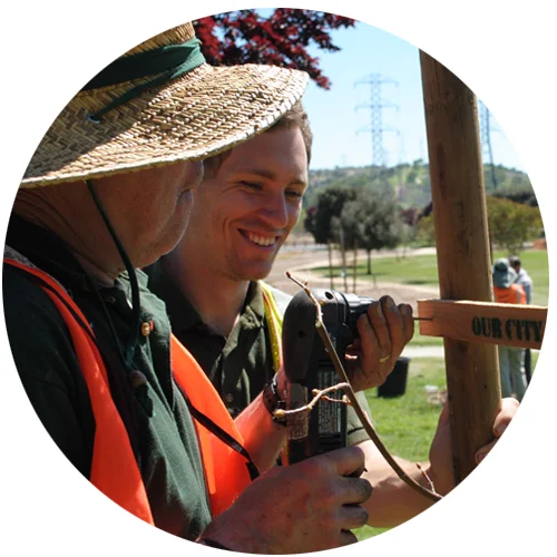 Tree Care— Our City Forest