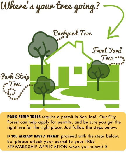Plant Trees— Our City Forest