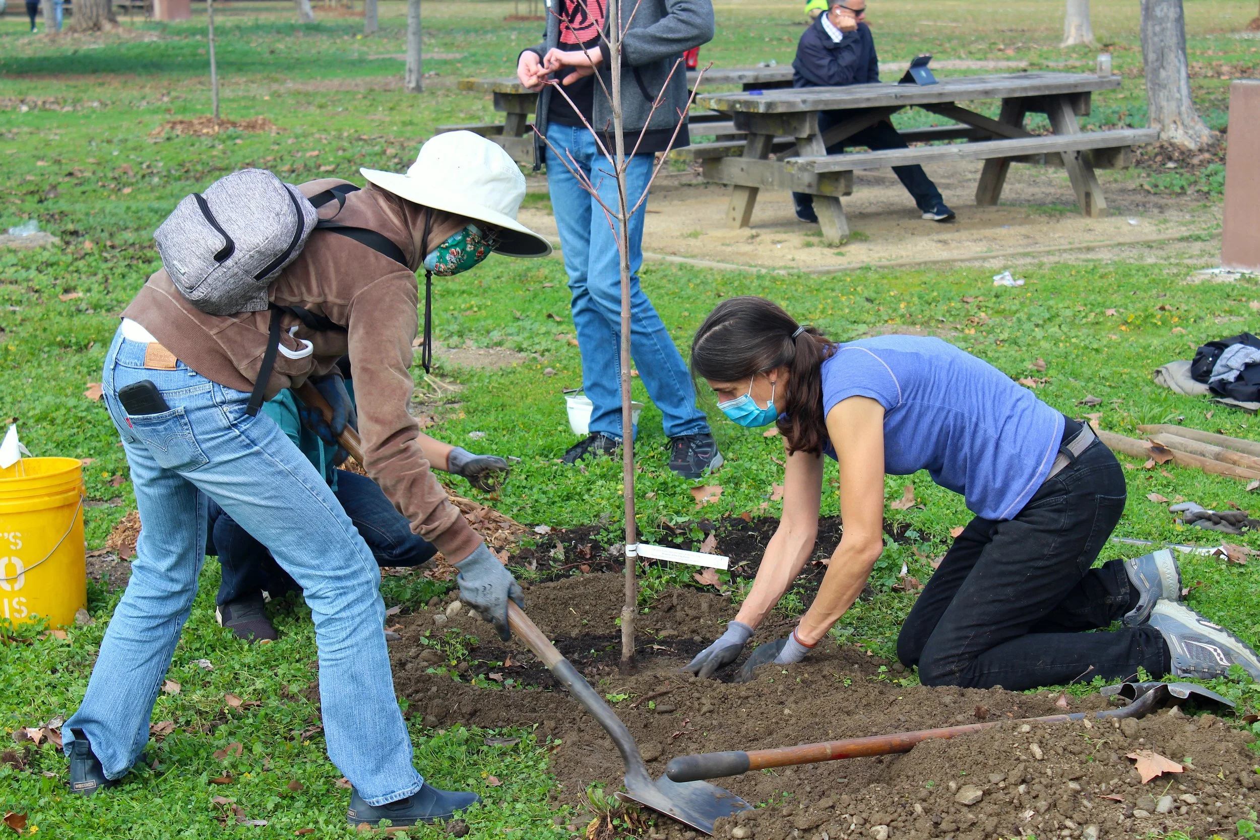 Volunteers— Our City Forest