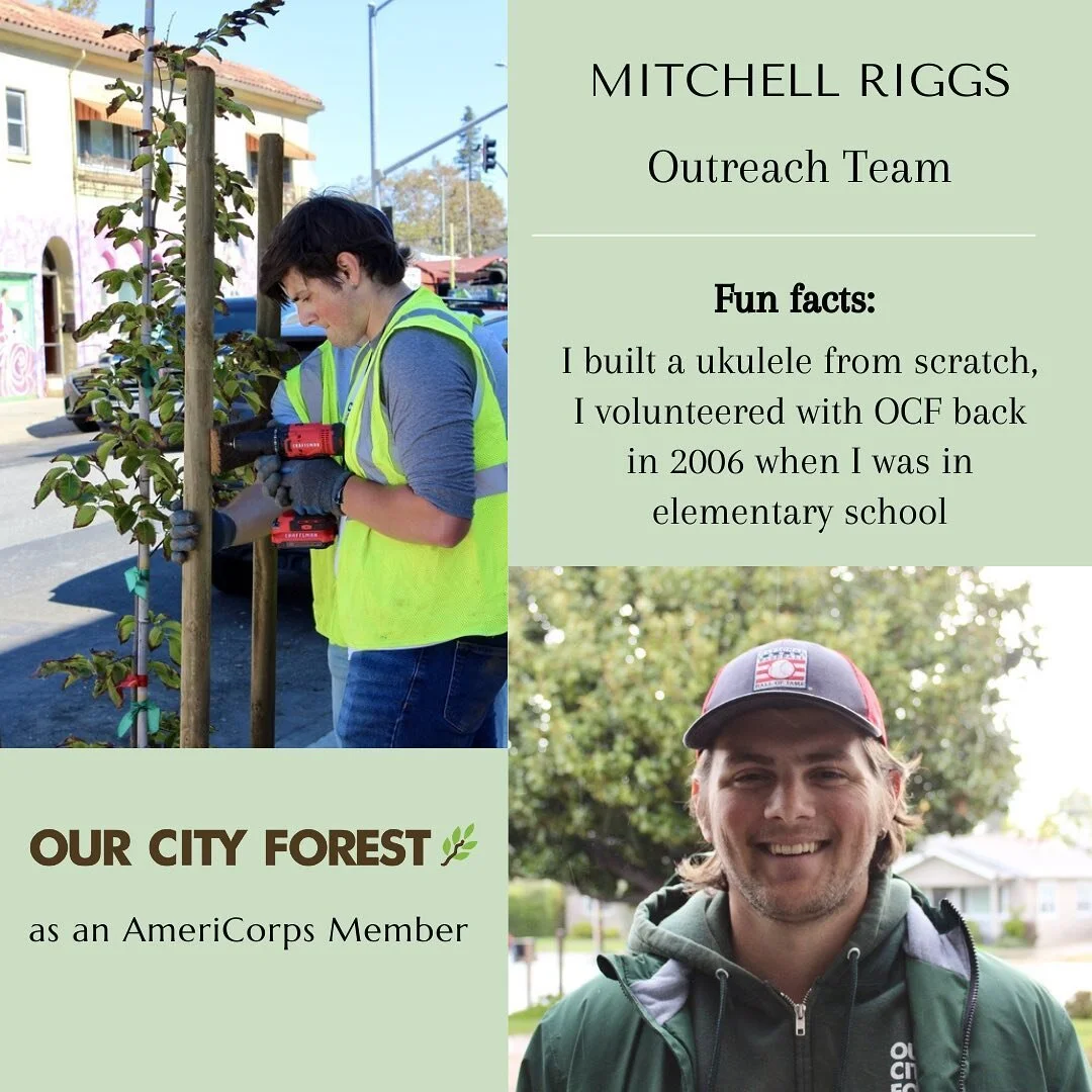Outdoor Education Center — Our City Forest