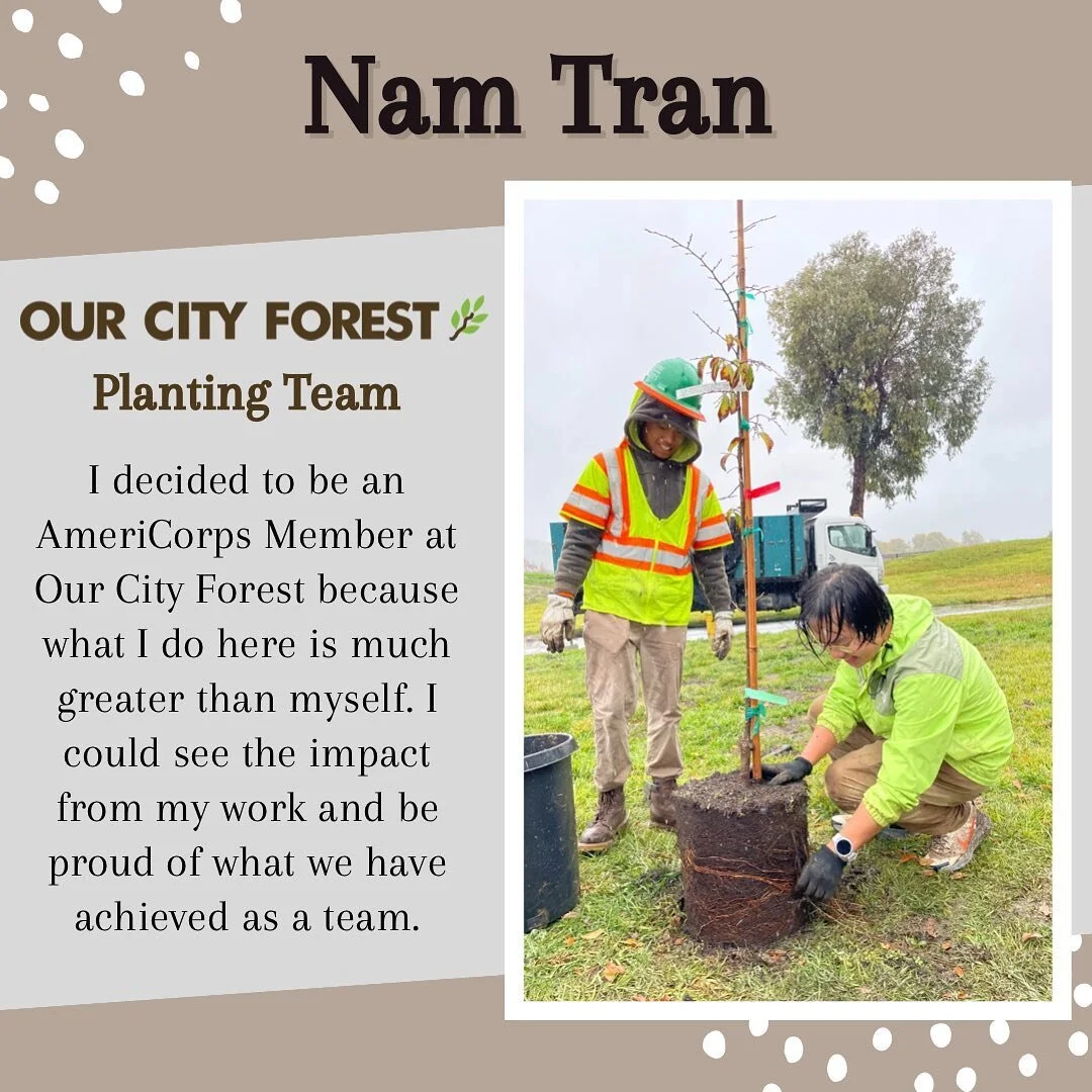 BLOG— Our City Forest