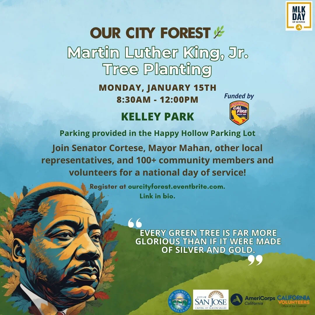 Everything You Ever Wanted To Know About Plants Part 3: A Forest to be ...