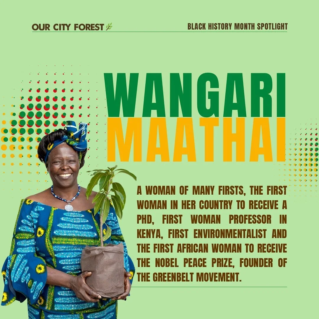 Past Presentation— Our City Forest