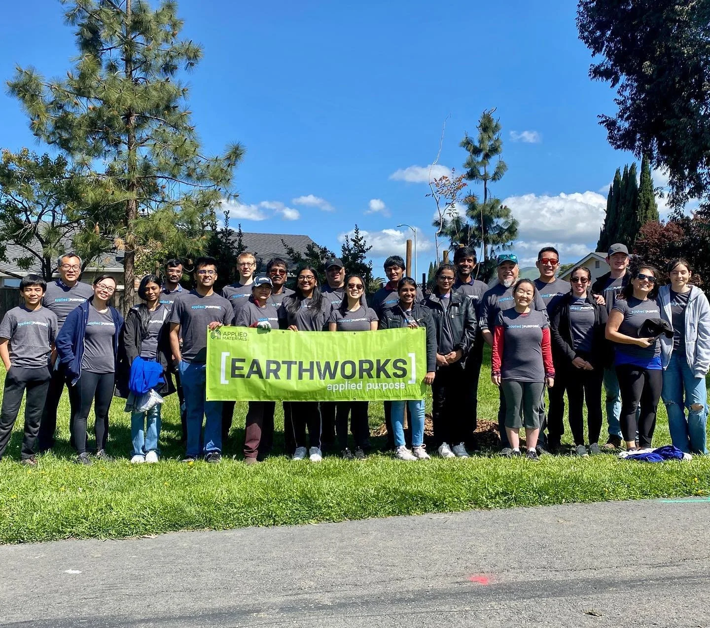 Trees— Our City Forest