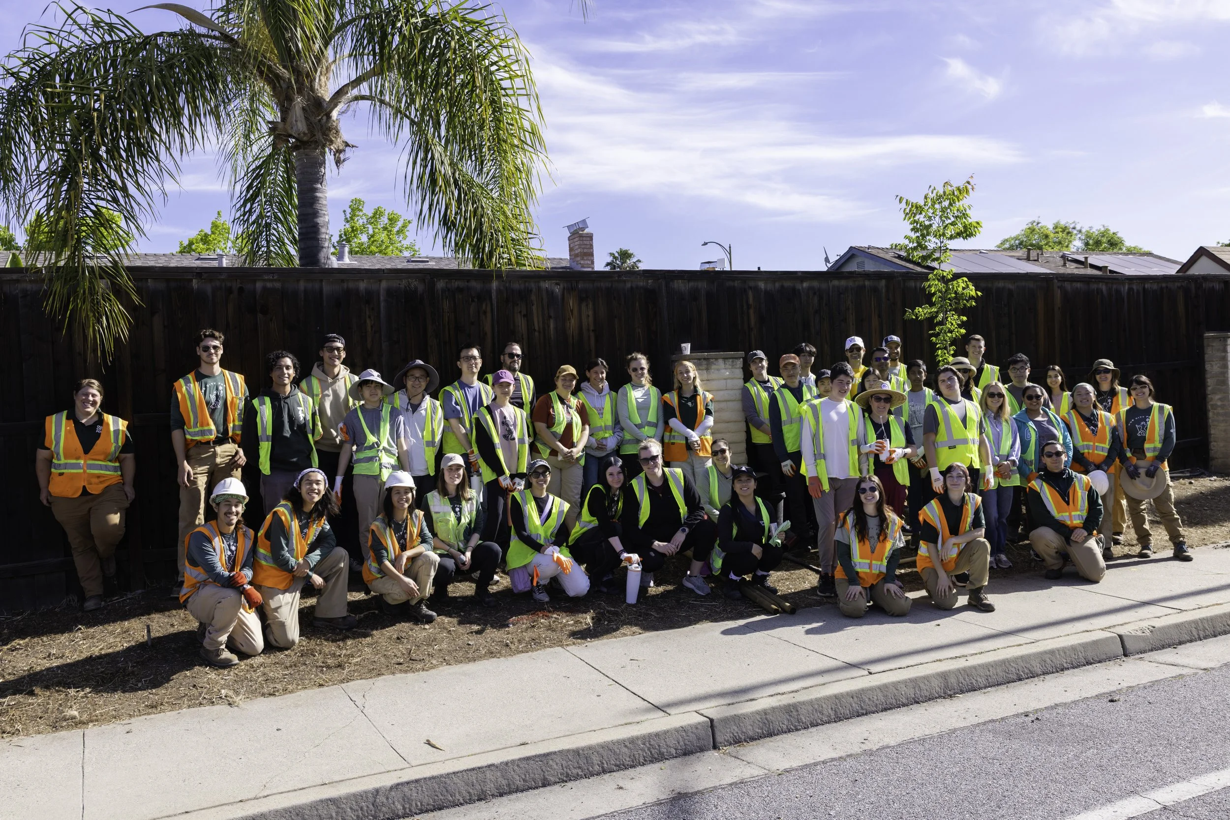 Rooted in California: TransPak, One Tree Planted, and Our City Forest ...