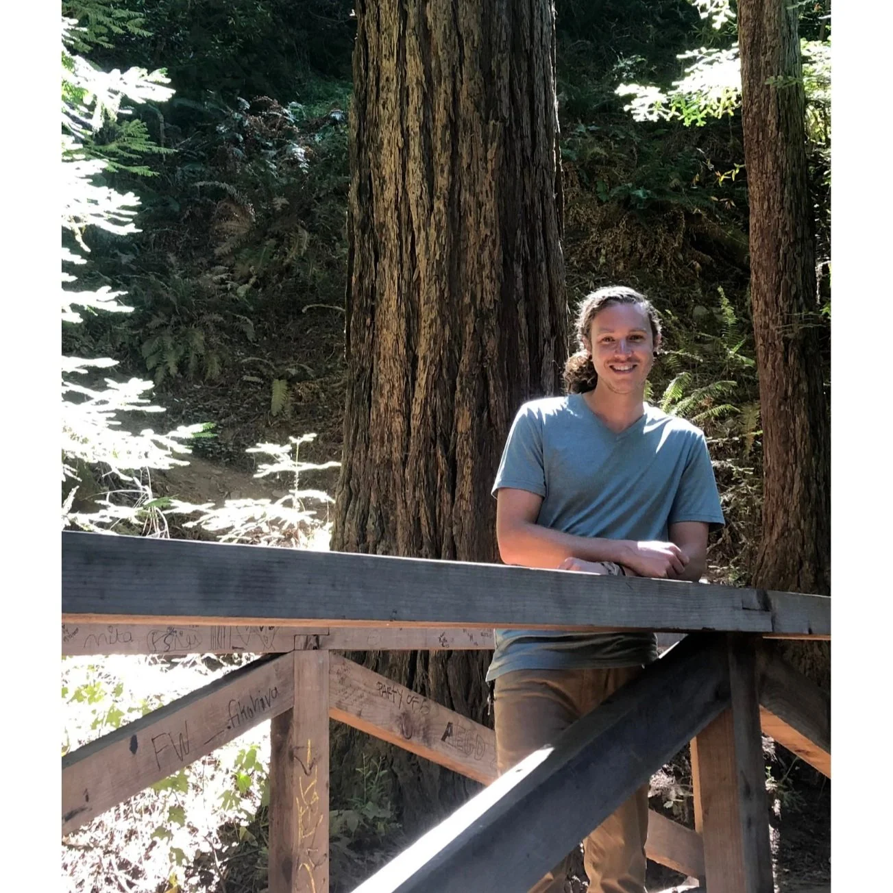 About— Our City Forest