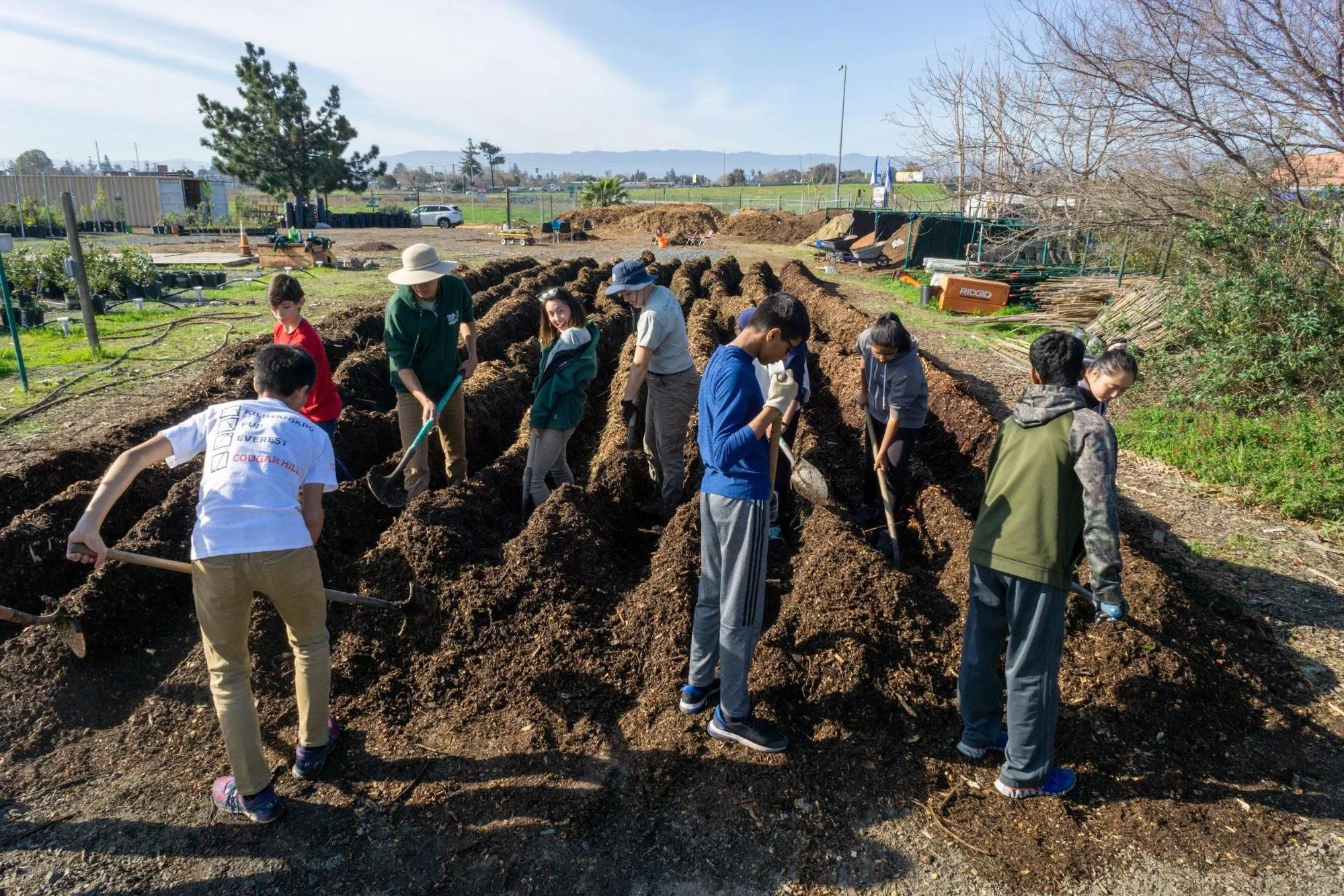 BLOG— Our City Forest