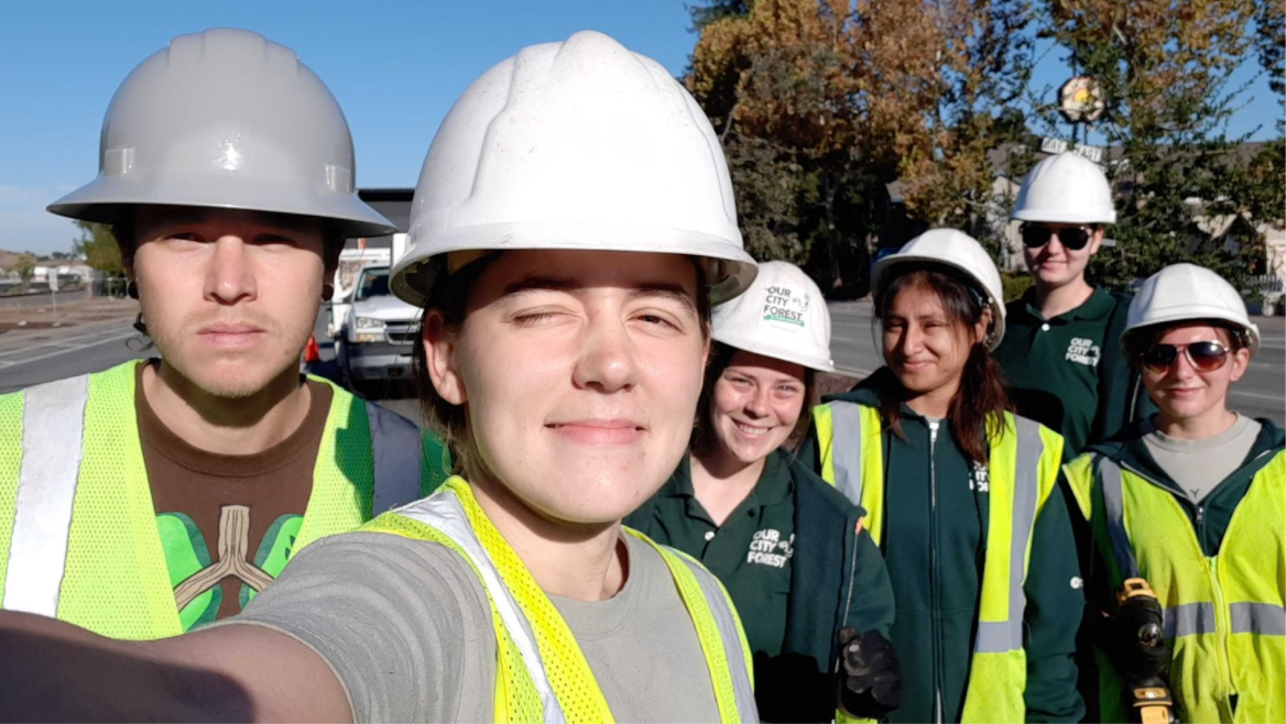 BLOG— Our City Forest