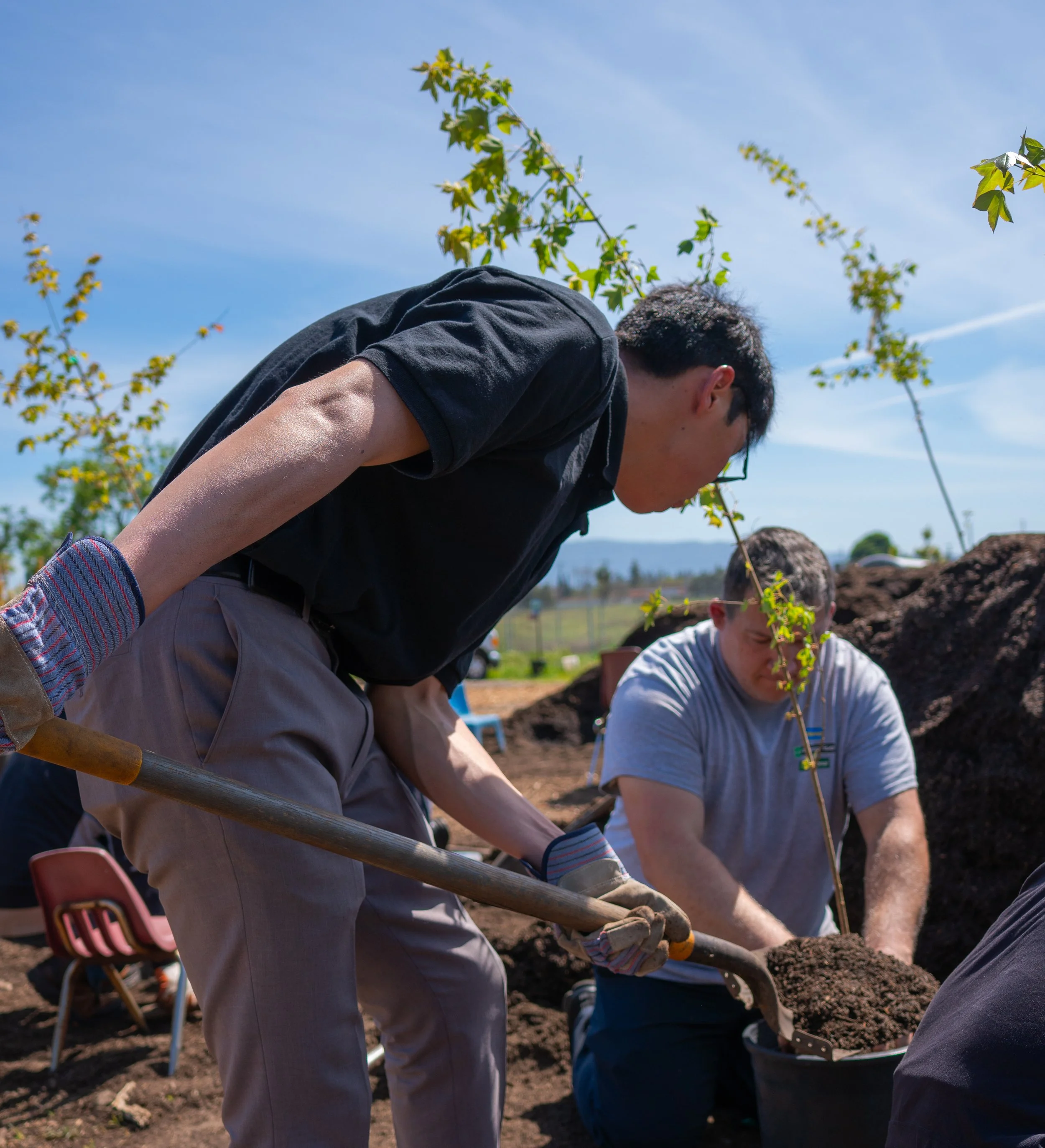 BLOG— Our City Forest