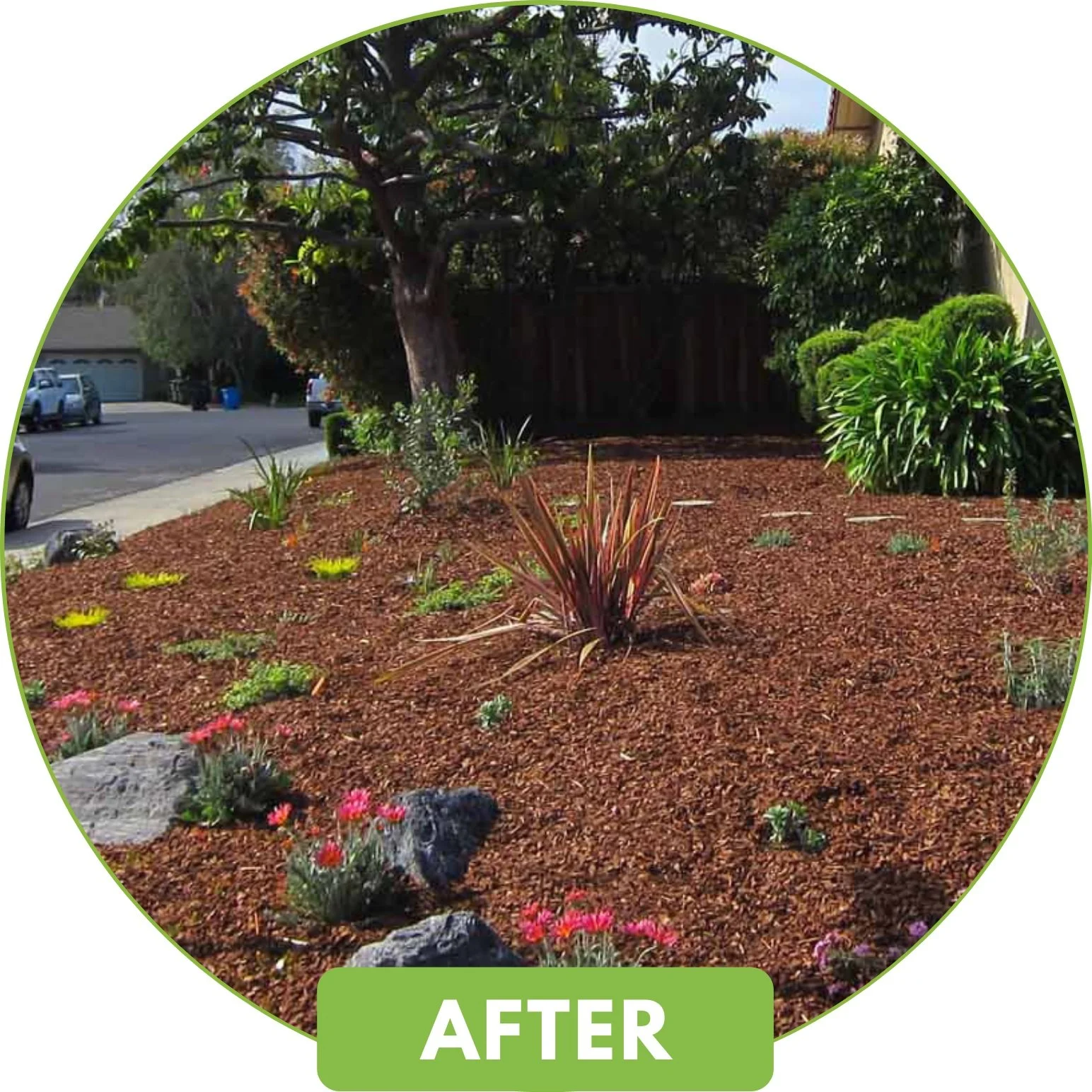 Lawn Busters DIY Workshop — Our City Forest