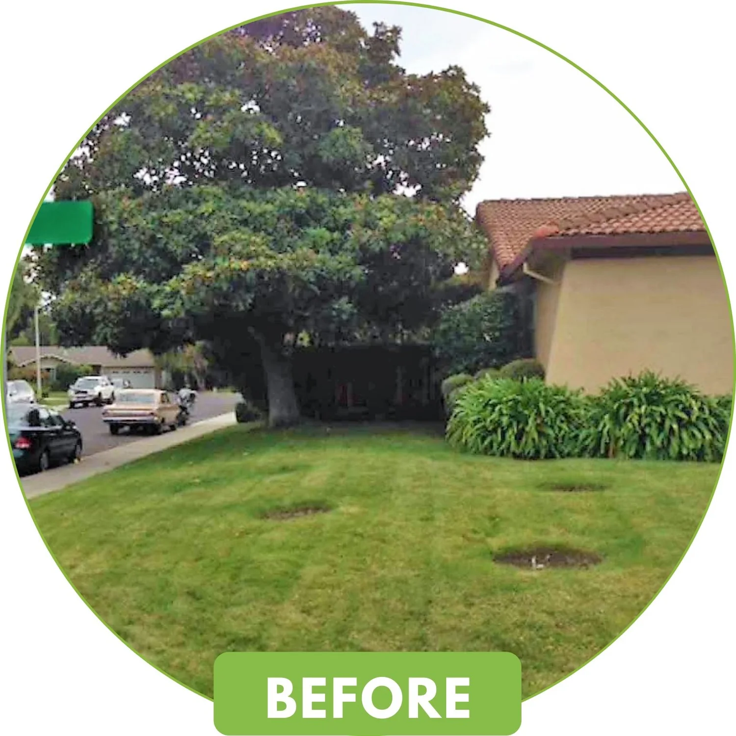 Lawn Busters DIY Workshop — Our City Forest