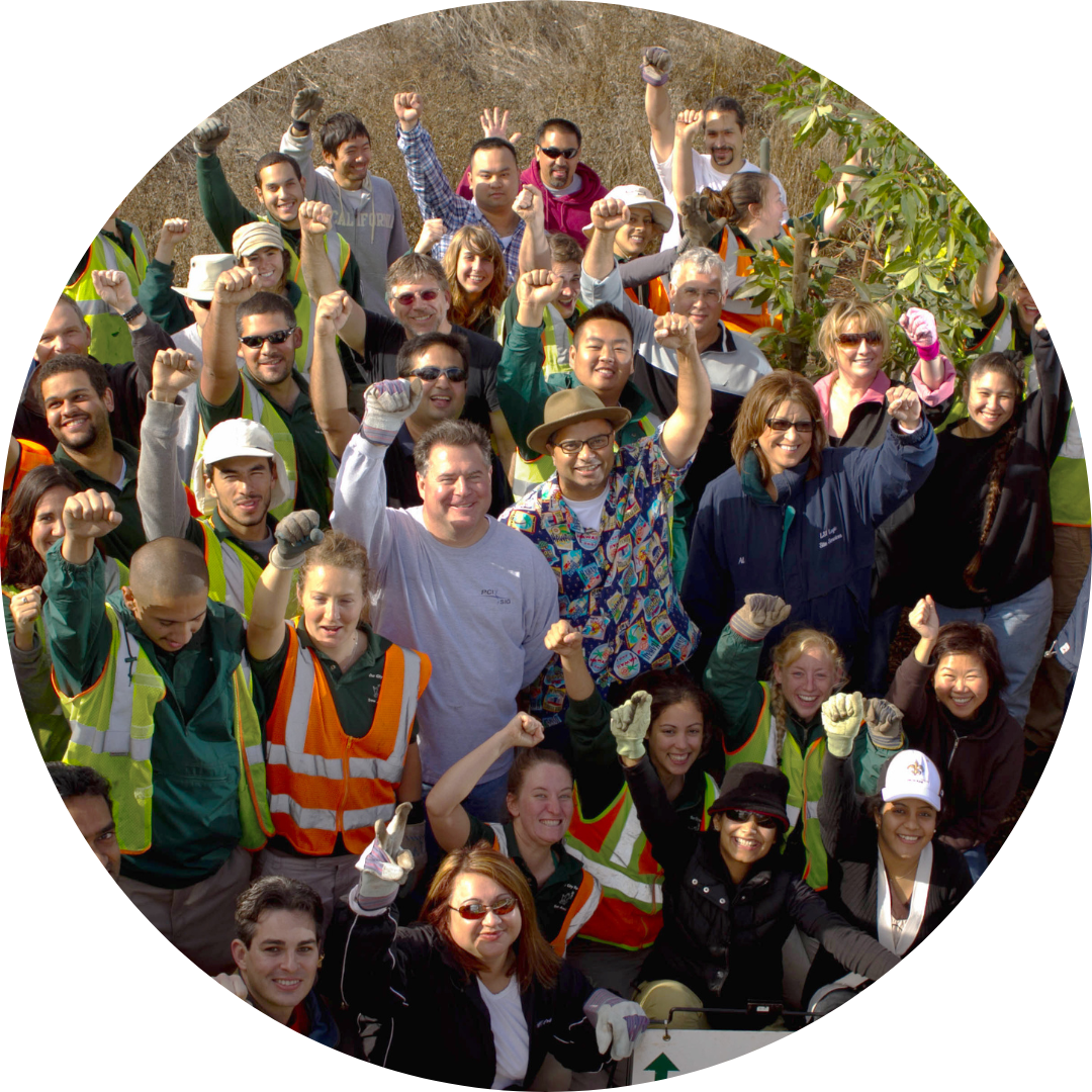 Our City Forest Planting the Future