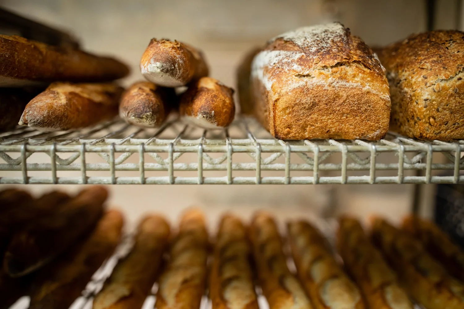 BAKERY — Madison Sourdough