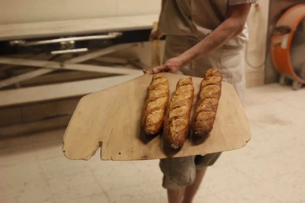 BAKERY — Madison Sourdough